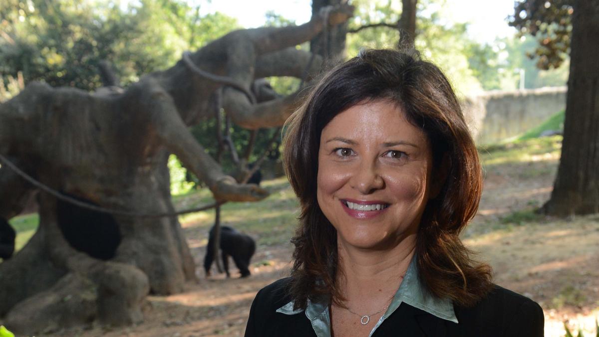 Dian Fossey Gorilla Fund celebrates 25 years at Zoo Atlanta - Atlanta ...