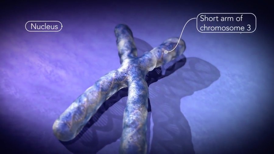 Austin's Genprex lines up IPO on cancer-fighting mission - Austin ...