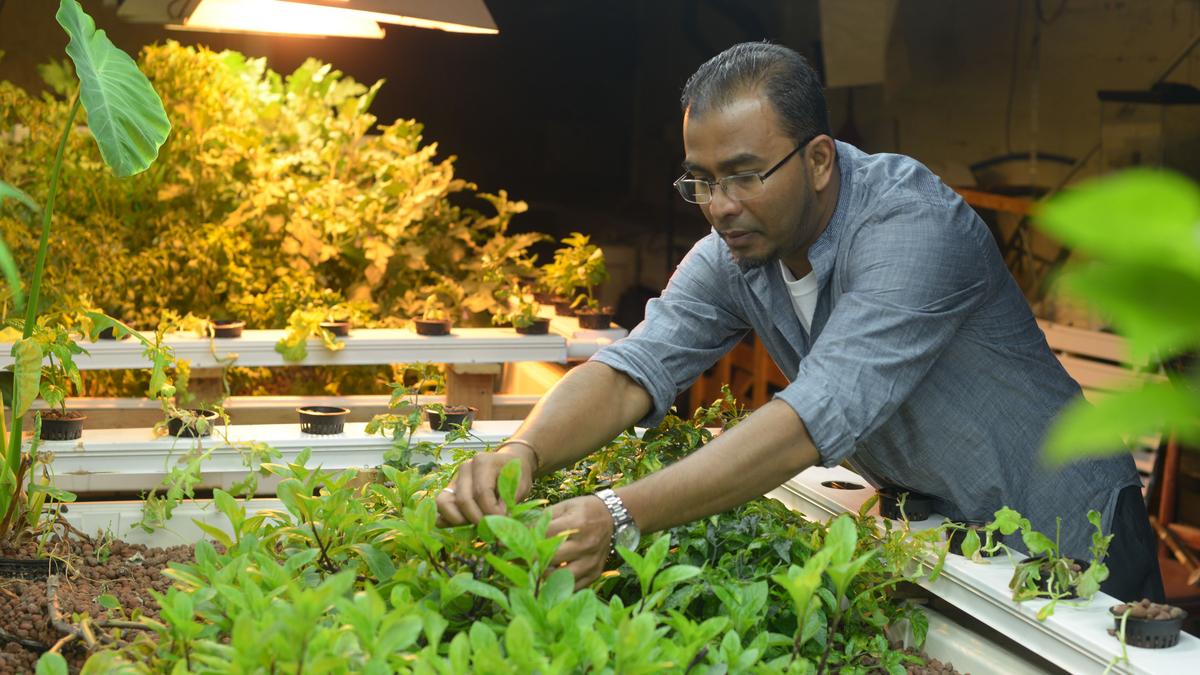 Indian-style restaurant Gandhi Mahal looks to become fully sustainable ...