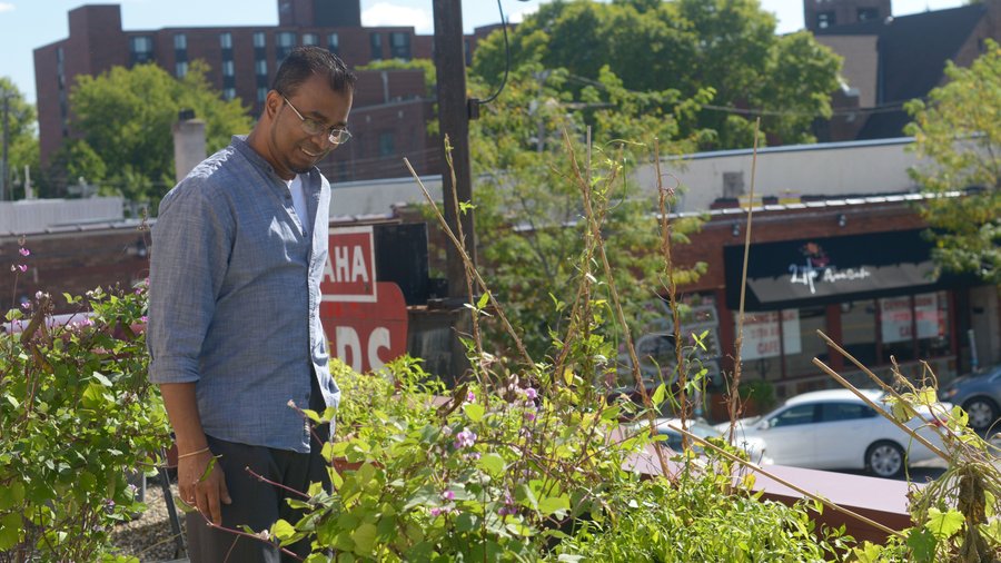 Gandhi Mahal owner builds greenhouse, plans community center at site of ...