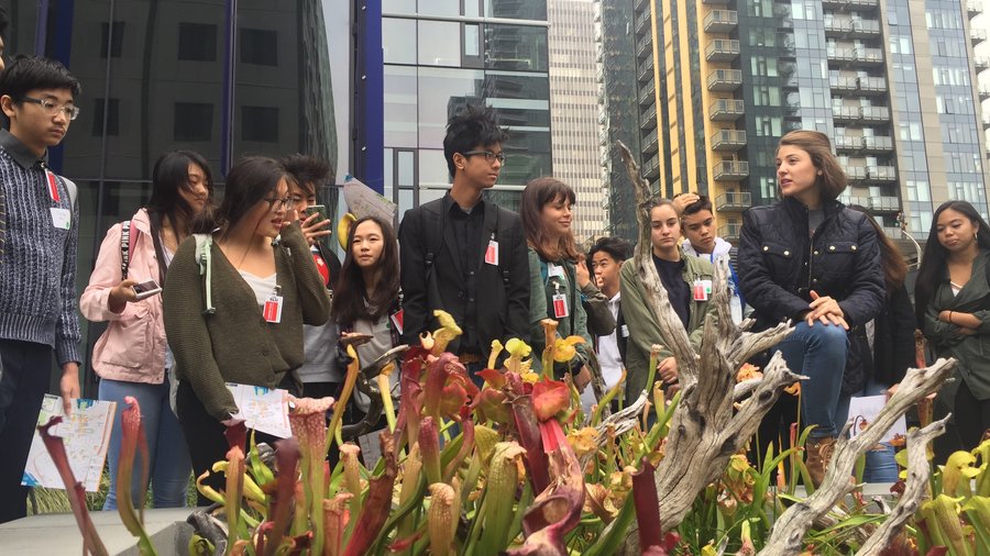 Tour Amazon's Doppler and Day 1 towers at its Seattle headquarters ...