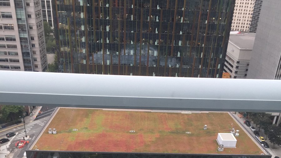 Tour Amazon's Doppler and Day 1 towers at its Seattle headquarters ...