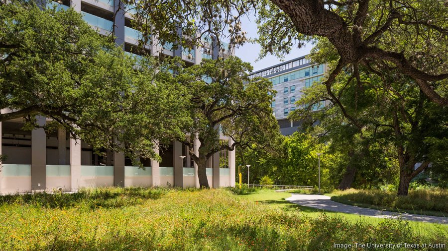 Photos: Design of Dell Medical School at UT-Austin raises bar in a big ...