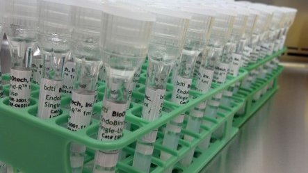 Local biotech firm secures grant for HIV progression products ...
