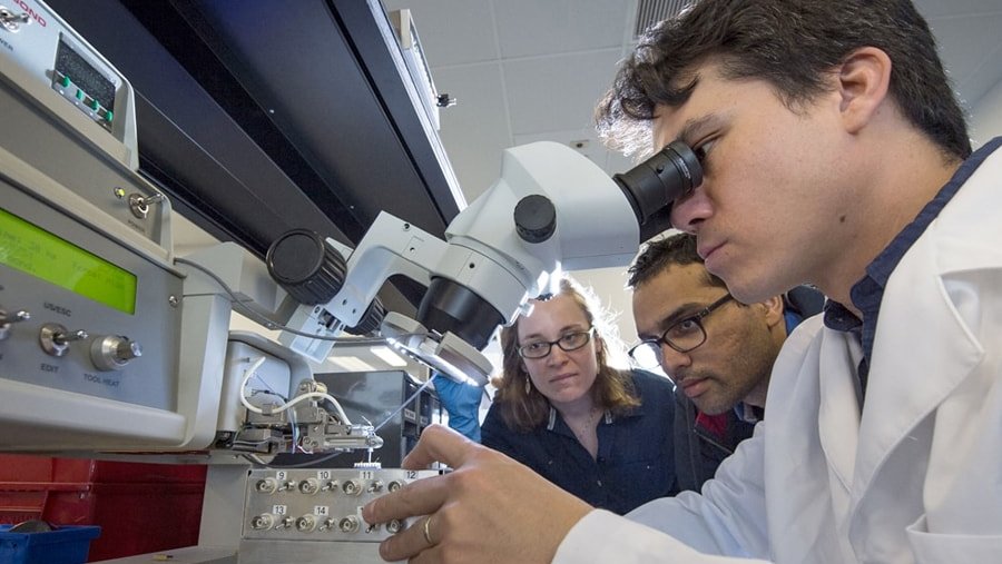 Carnegie Mellon University physics professor earns five-year Department ...