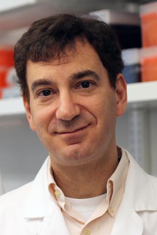 Russell Swerdlow