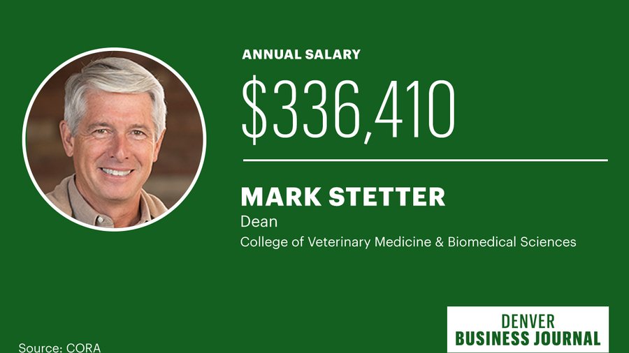10 Mark Stetter