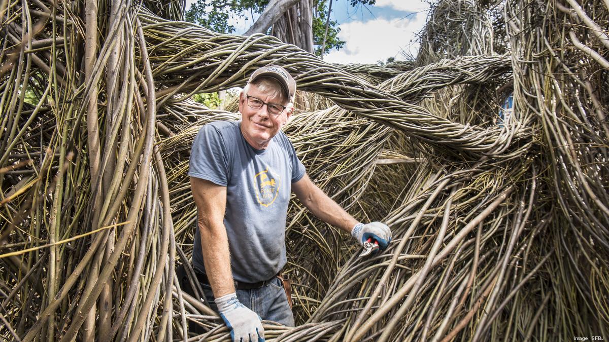 Patrick Dougherty creates willow tree sculptures in Pinecrest for Art ...