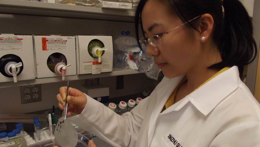 Innovation Award winner: McGowan Institute for Regenerative Medicine ...