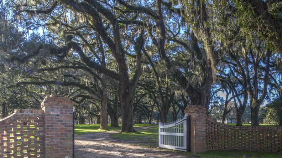 Nearly 5,000-acre Georgia plantation, restored antebellum home listed ...