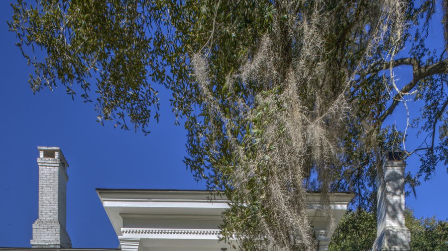 Nearly 5,000-acre Georgia plantation, restored antebellum home listed ...