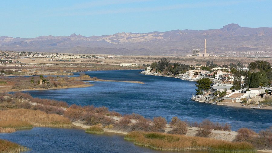 Arizona revokes water permits for Saudi Arabia-owned alfalfa farm ...