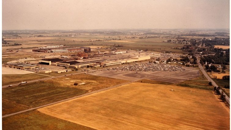 Bell Plant