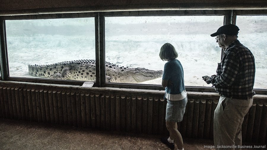 Photos: Alligator Farm celebrates 125th anniversary with new exhibit ...