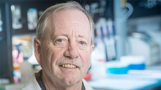 UAB professor awarded NIH grant for aging research - Birmingham ...
