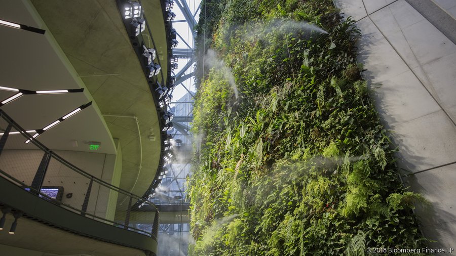 Sneak peek inside Amazon’s bio dome