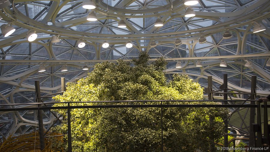 Sneak peek inside Amazon’s bio dome