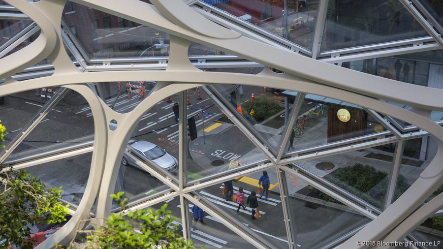 Sneak peek inside Amazon’s bio dome