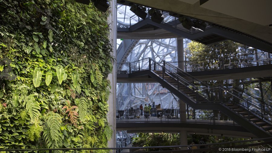 Sneak peek inside Amazon’s bio dome