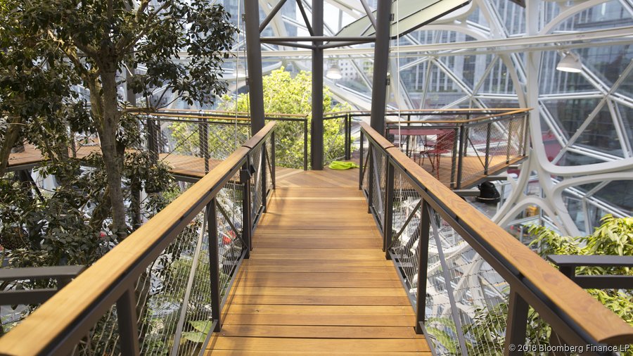 Sneak peek inside Amazon’s bio dome