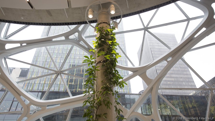 Sneak peek inside Amazon’s bio dome