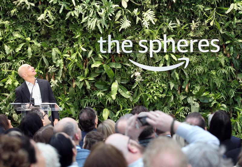 Amazon timeline - Bizwomen