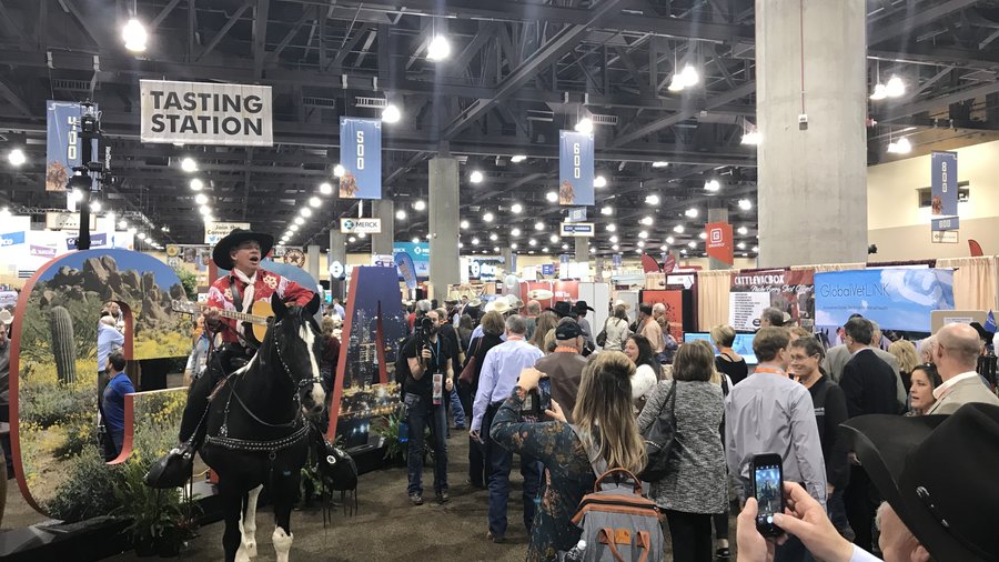 Where’s the beef? How the National Cattlemen’s Beef Association nearly ...