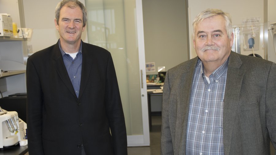 OmniSeq could be the next big thing in Buffalo biotech - Buffalo ...