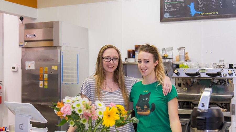 The Cafe Meow, Uptown Minneapolis cat cafe, moving to Roseville ...