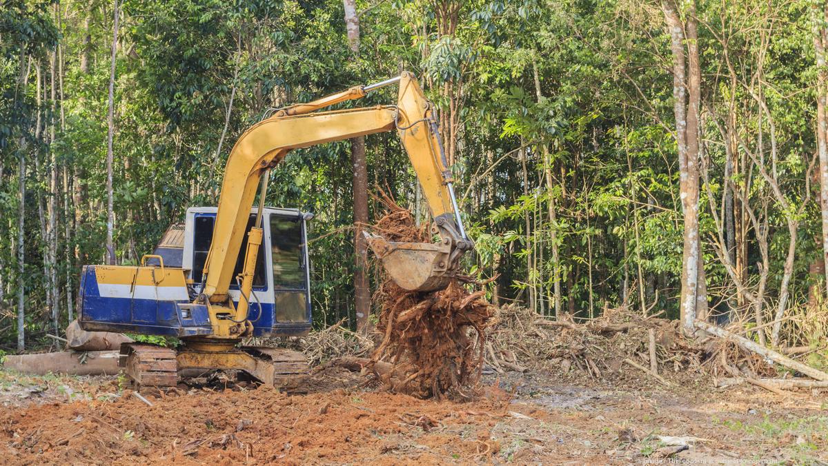 2019 Golden 100: Florida construction firm Randall among listmakers ...