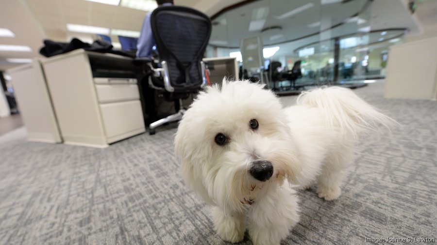 Mars Inc. McLean Headquarters 033