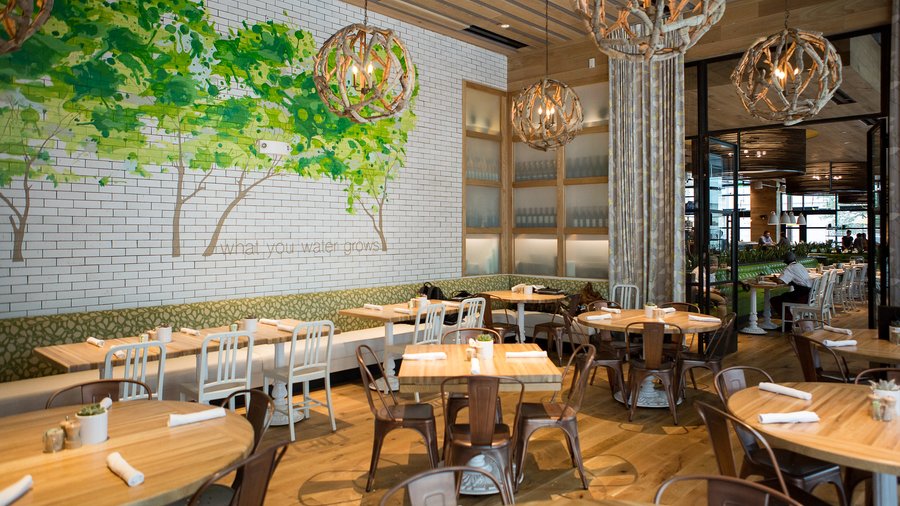 True Food Kitchen is in growth mode after spinning off from Sam Fox ...