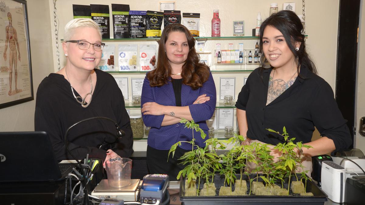 Cannabis dispensary owner Kimberly Cargile plans Sacramento business ...