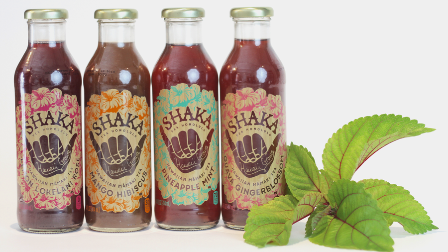 Hawaii-based Shaka Tea lands nationwide distribution deal - Pacific ...
