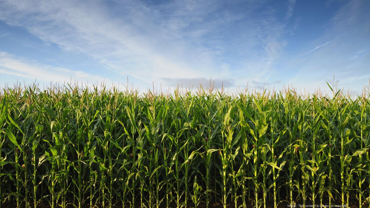 Organic grain fraud brings guilty plea from Chillicothe man - Kansas ...