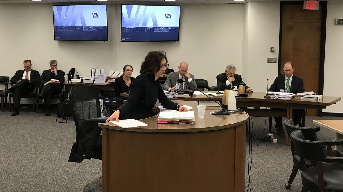 Critic claims Duke Energy's $7.5B 'grid modernization' plan doesn't ...