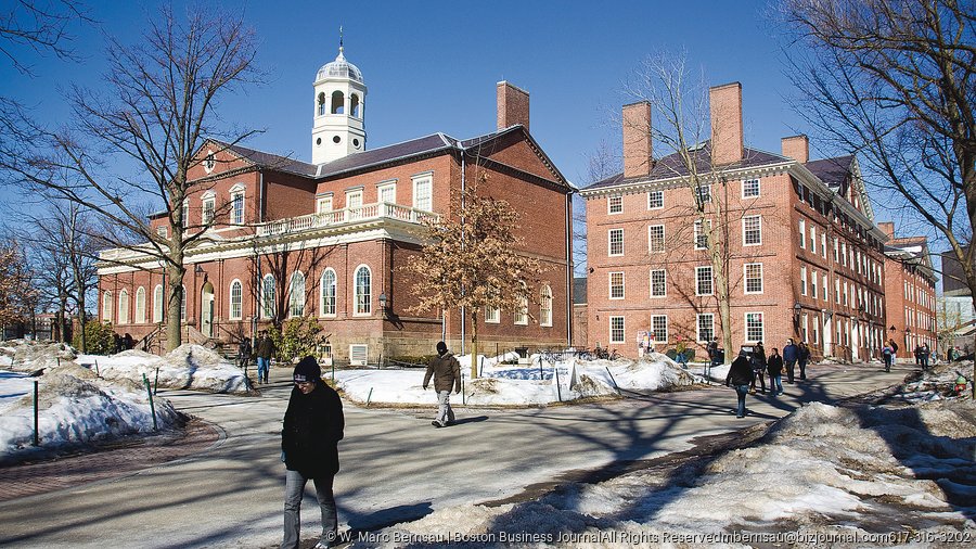 harvard university