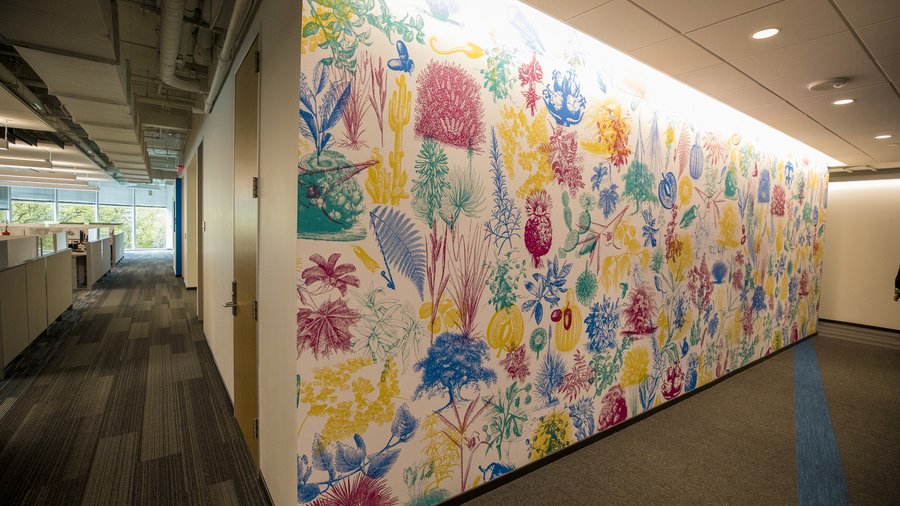 Austin's Coolest Offices — Google, Facebook, Oracle and more - Austin ...