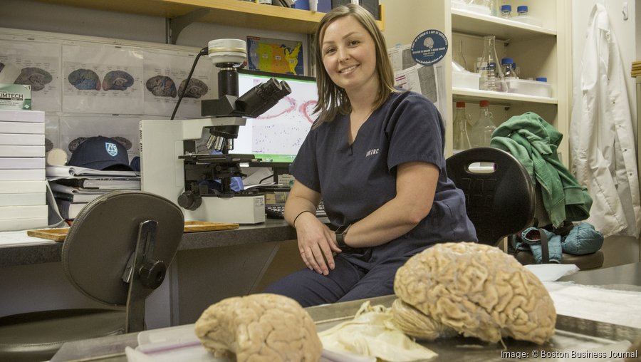 Despite fears, NIH grants to Bay State organizations hit a record high ...