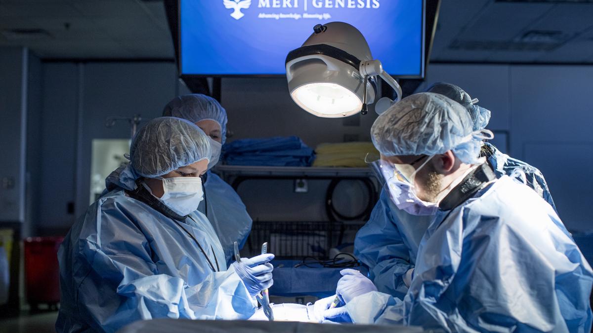 Memphis-based DCA rebrands The Medical Education and Research Institute ...