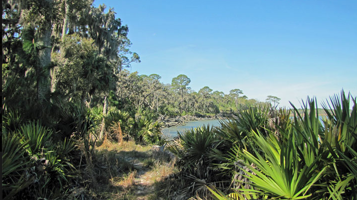 Researchers: Georgia has a new island thanks to Hurricane Irma ...