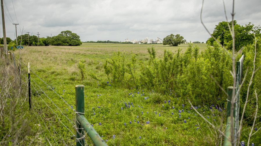 Robinson Ranch 2018 4893