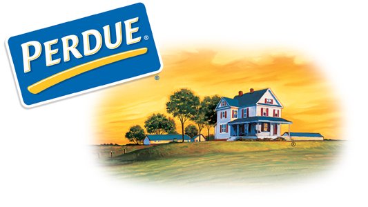 Perdue Farms CEO Randy Day to retire; Kevin McAdams named successor ...