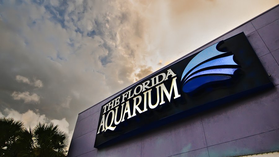 WFLA-AM, Florida Aquarium, Tampa Organization of Black Affairs and ...