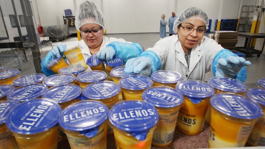 Ellenos Real Greek Yogurt factory in Federal Way