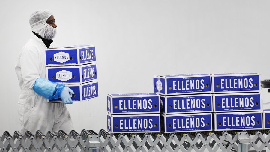 Ellenos Real Greek Yogurt factory in Federal Way