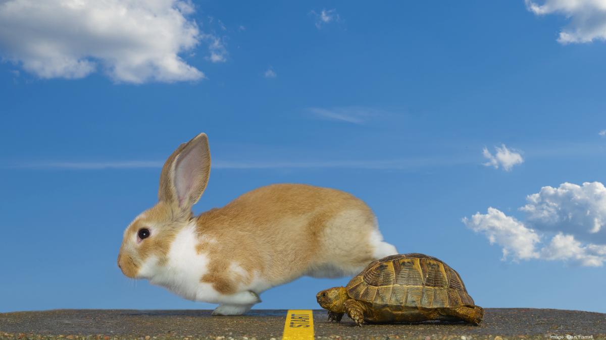 Analysis: Do plodding Portland home sales set up 'tortoise market' in ...