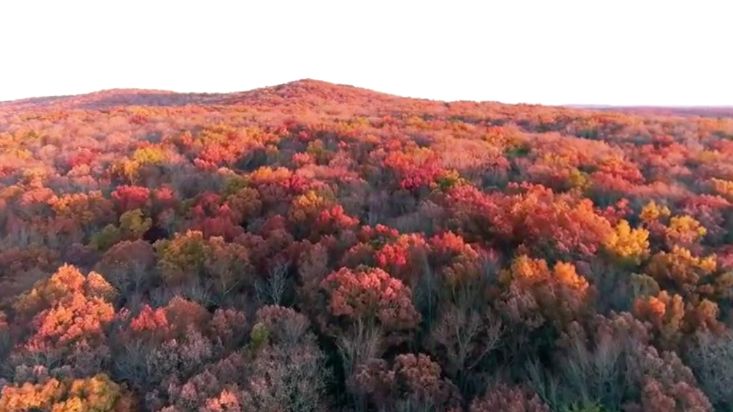 Bridgestone Americas makes massive land donation to The Nature ...