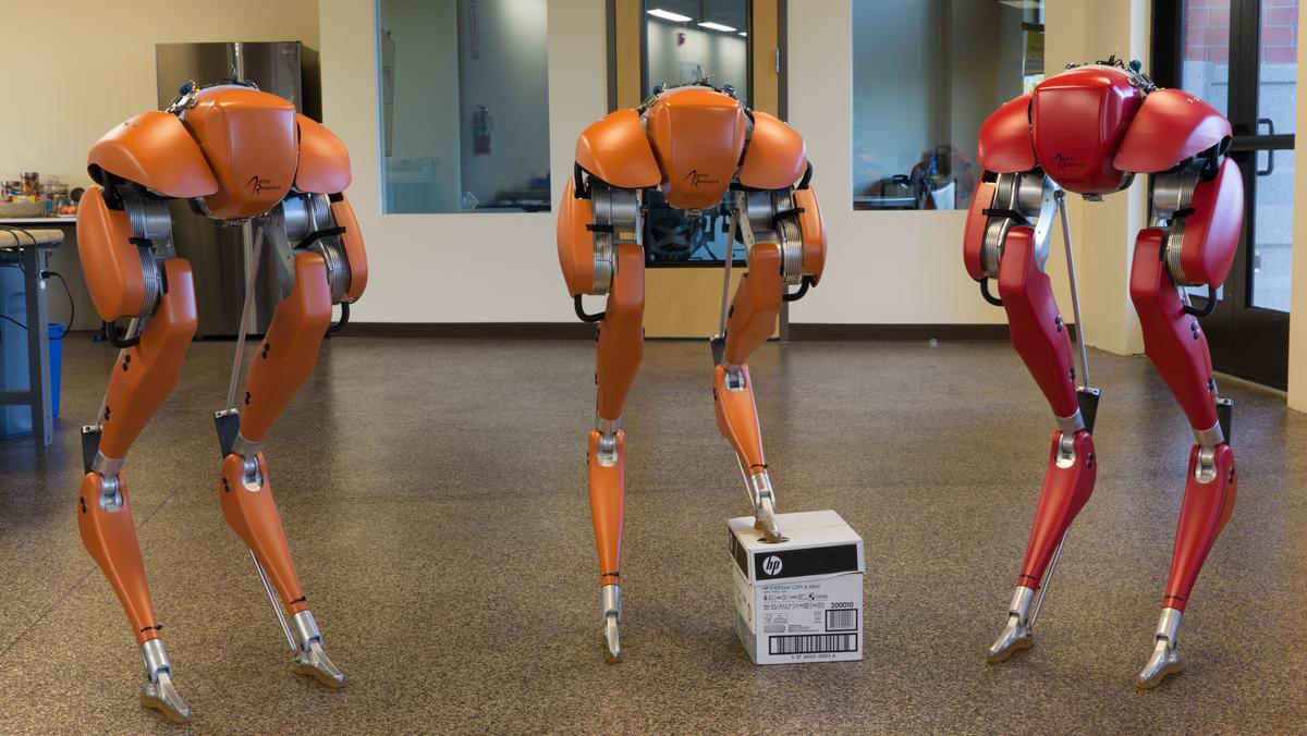 Agility Robotics, developing commercial bipedal bots, coming to ...