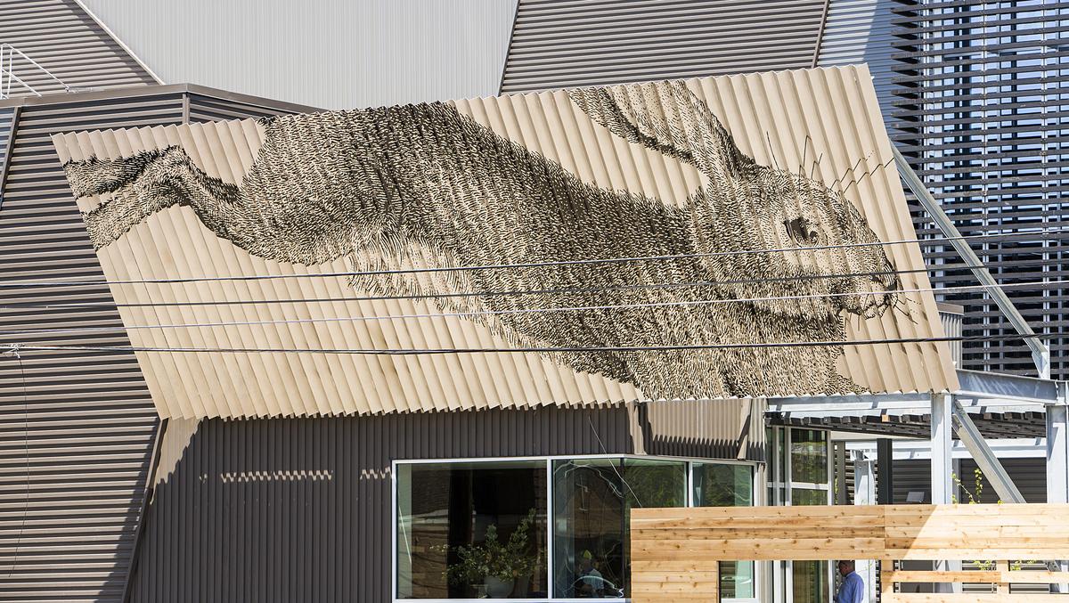 Pernod Ricard to buy Rabbit Hole Distillery majority stake - Louisville ...